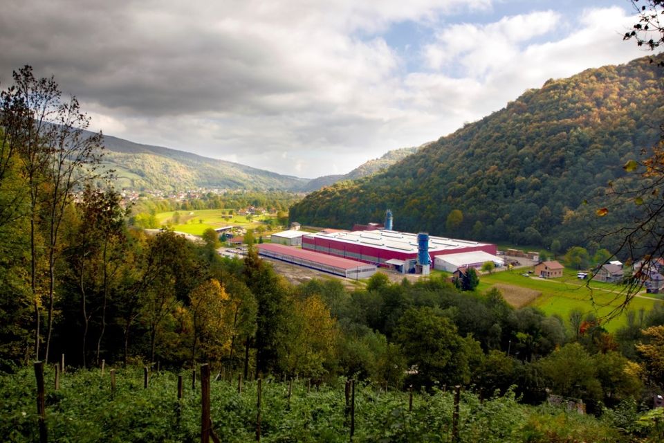 MS&Wood u potrazi za velikim brojem radnika, nastavljaju rasti i širiti ...